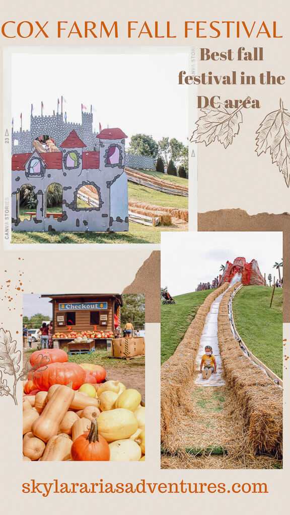 Cox Farms Fall Festival Guide: Fall Day trip from DC - Skylar Aria’s ...