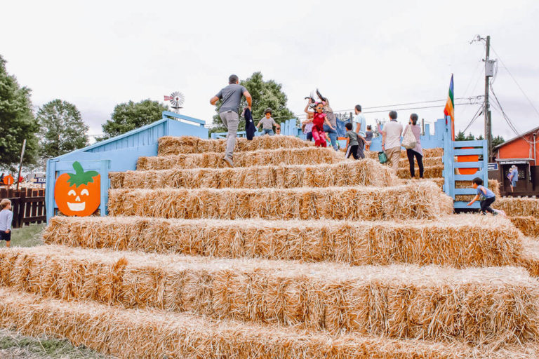 Cox Farms Fall Festival Guide: Fall Day trip from DC - Skylar Aria’s ...